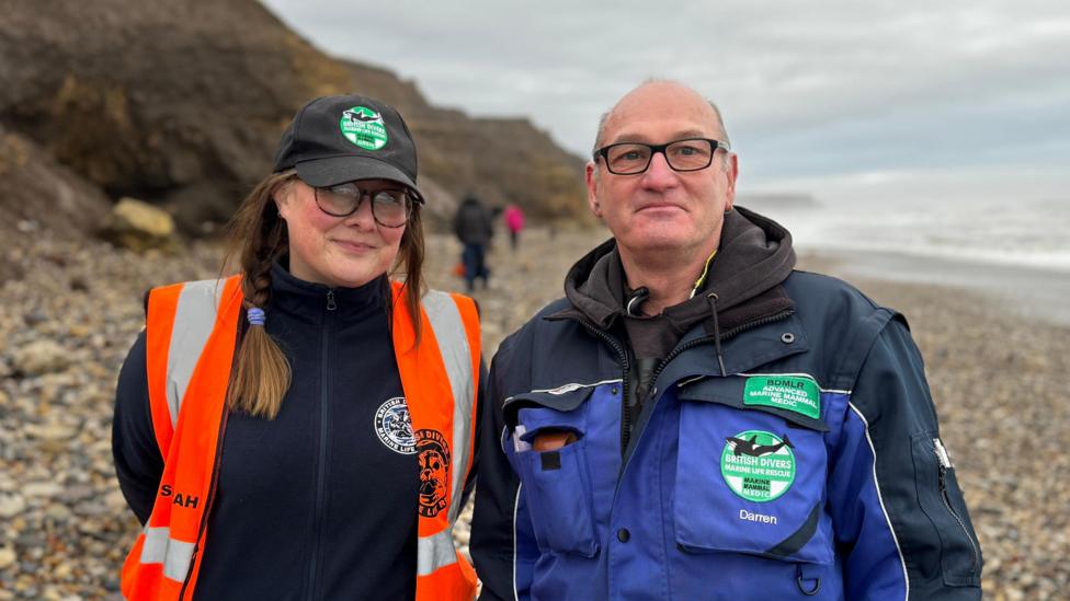 Seaham beach warning after injured porpoise put back into sea - BBC News