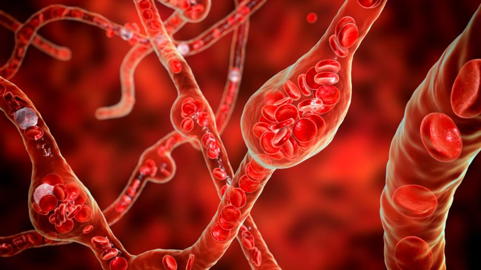 Nanobots: Scientists create tiny robots that can be injected into the ...