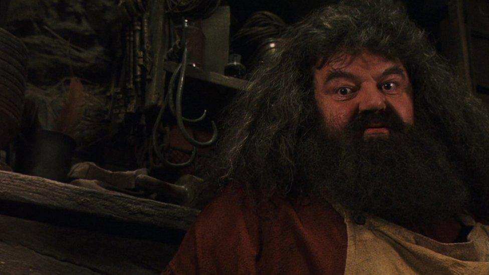Tributes have been paid to actor who plays Hagrid in Harry Potter - BBC ...