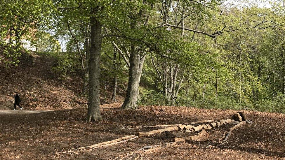 Giant stick skeleton coming to Eden Project - BBC News