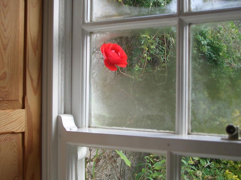 Your pictures on the theme of 'view from a window' - BBC News