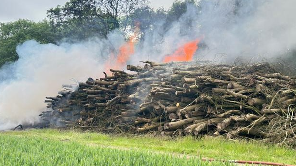 Stebbing: Firefighters tackle 200-tonne woodpile fire - BBC News
