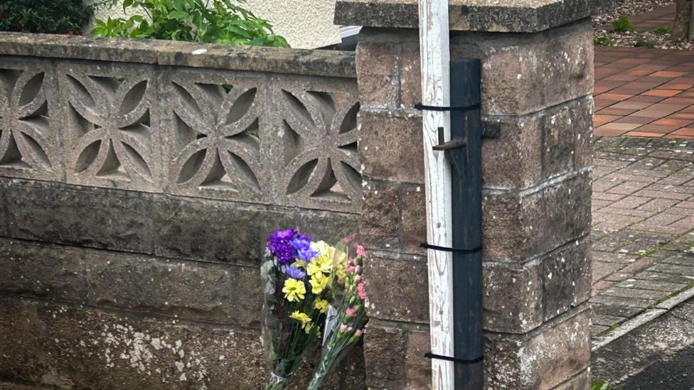 Rogiet fatal XL bully dog attack investigation sees two further arrests ...
