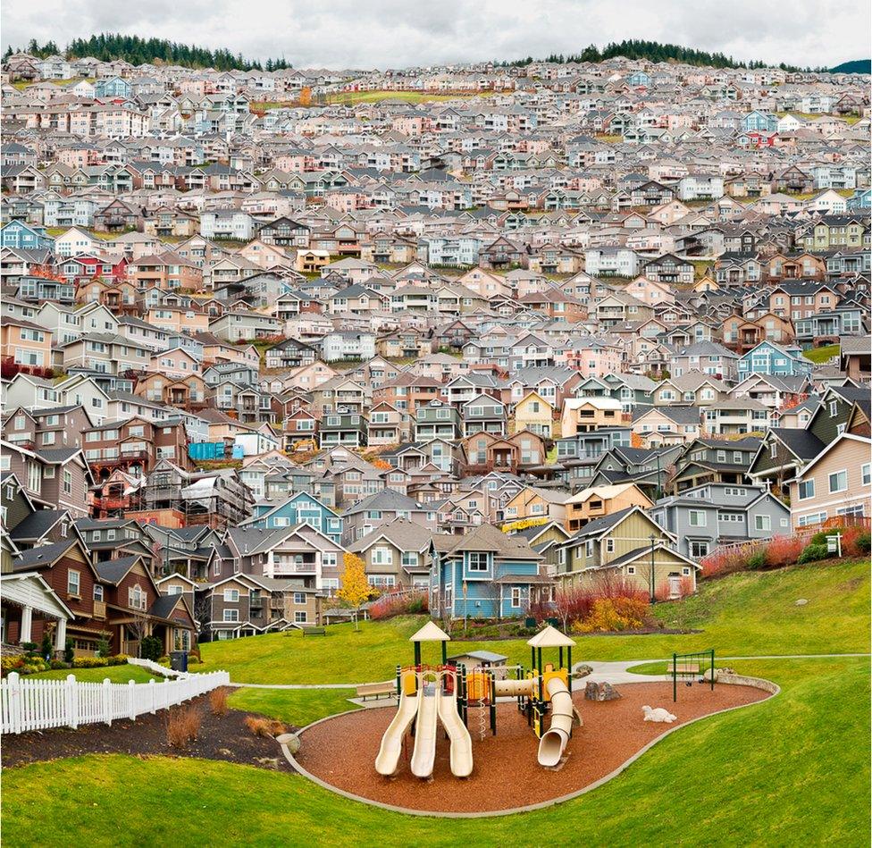 Capturing the environment - BBC News