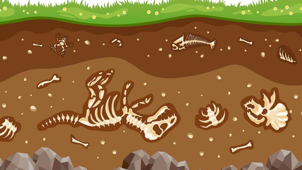 Explorer 6: 60 years since first Earth photo from space - BBC Newsround