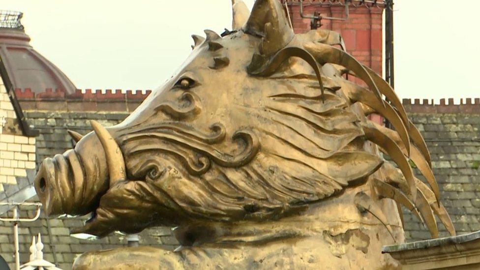 Bradford's boars: Why is a wild pig depicted across the city? - BBC News