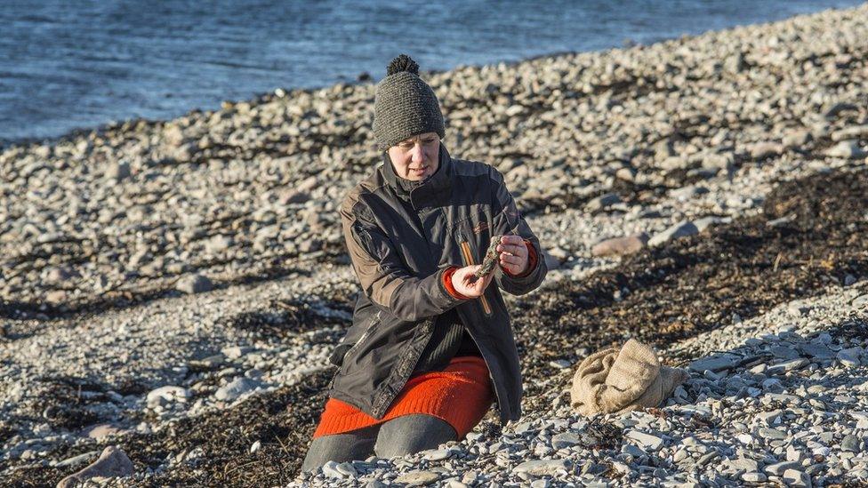 Artist to highlight beach pollution - BBC News