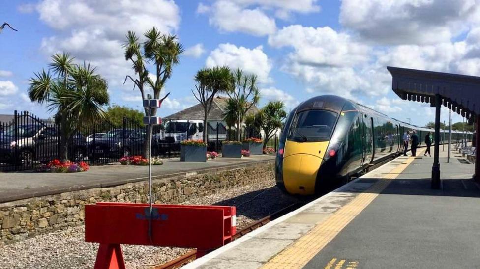 Newquay train station palm trees find new home at attraction - BBC News