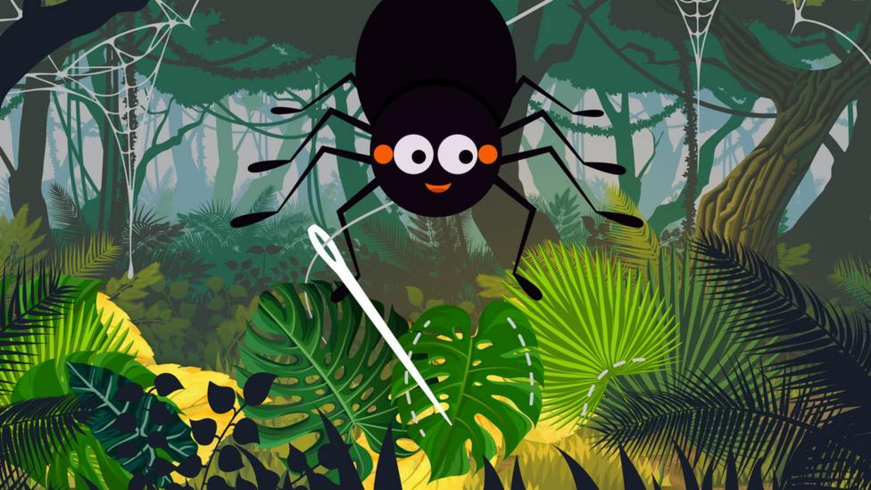 Finding Nemo... the spider! Is this the world's cutest spider? - BBC ...