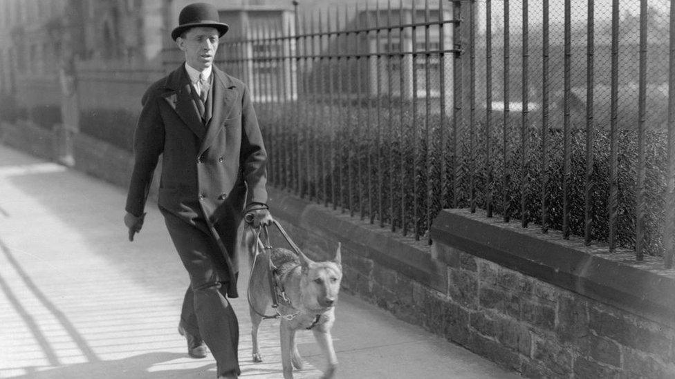 Guide dogs: Charity calls for more German Shepherds to be trained - BBC ...