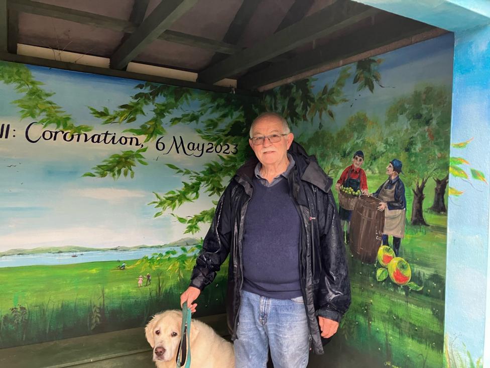 Landulph bus shelter gets artistic makeover - BBC News
