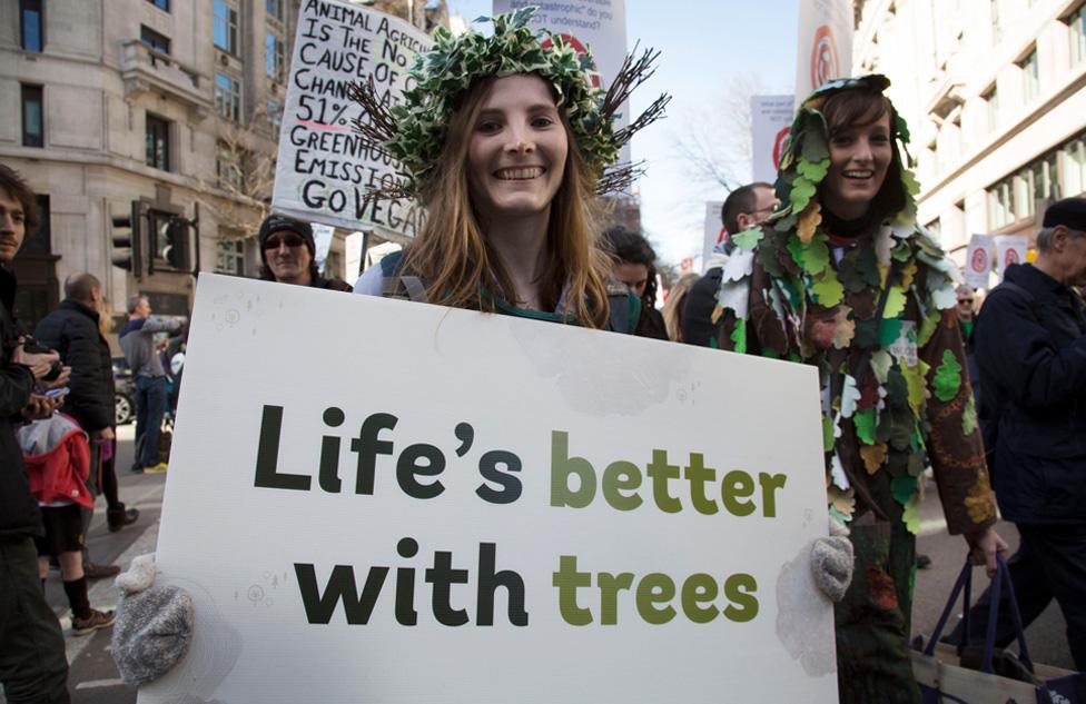 Is there a danger to environmental jargon? - BBC News
