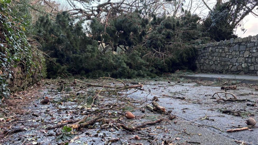 'Terrifying' storm causes widespread damage in Guernsey - BBC News