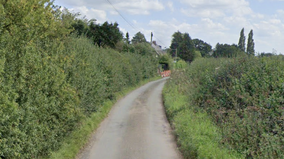 Ten cats found dead on rural road in Gnosall - BBC News