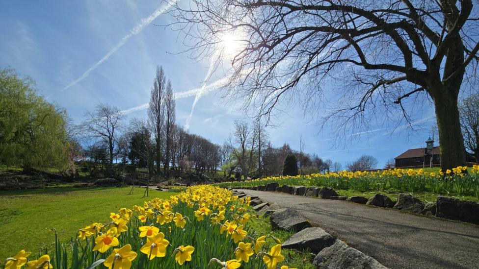 How long will current spring warmth last? - BBC Weather