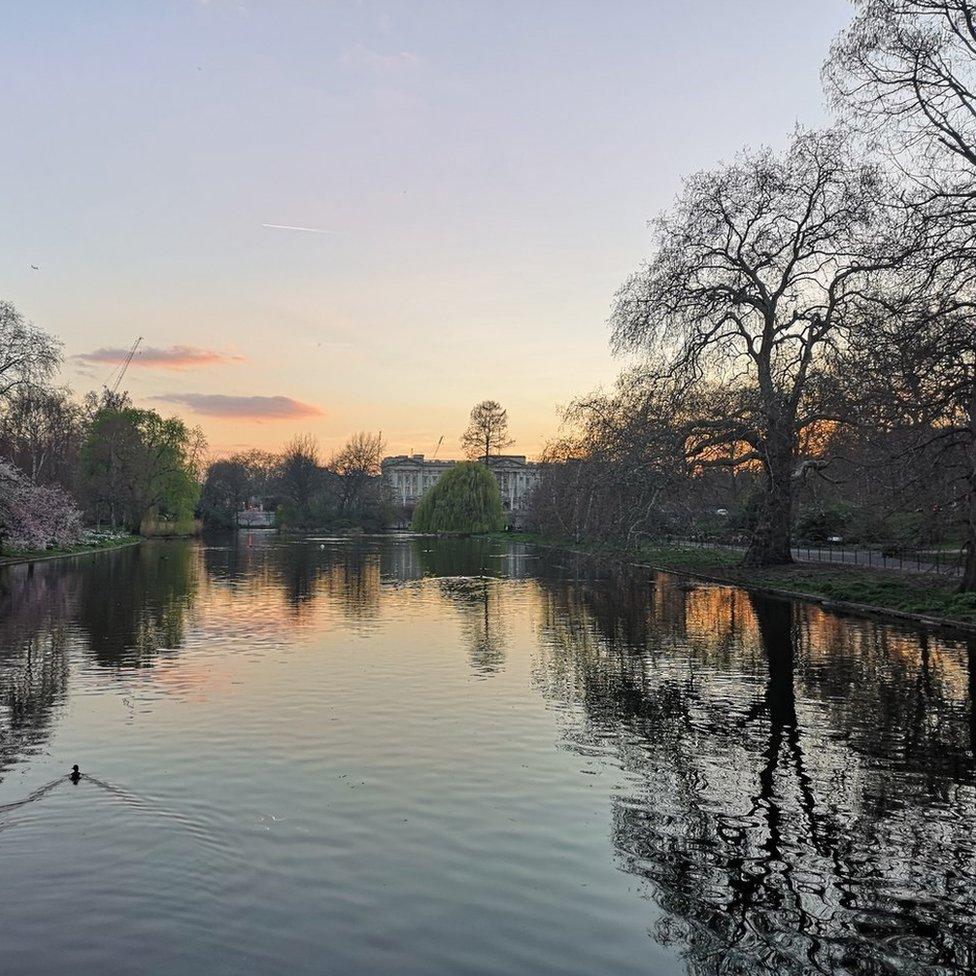 England's Big Picture: 25 March - 31 March - BBC News