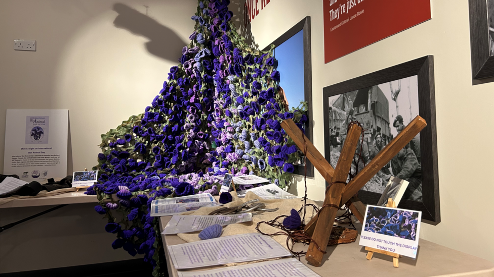 Poppies display marks animals' wartime sacrifice - BBC News