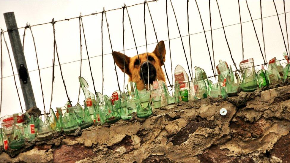 Your pictures: Barriers - BBC News