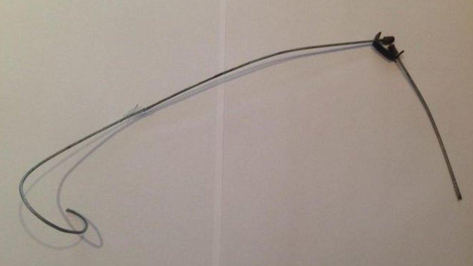 Stormont has 'no plans' to ban 'cruel' animal snares - BBC News