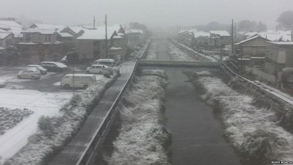 Snow falls in Tokyo in November for the first time in 54 years - BBC News