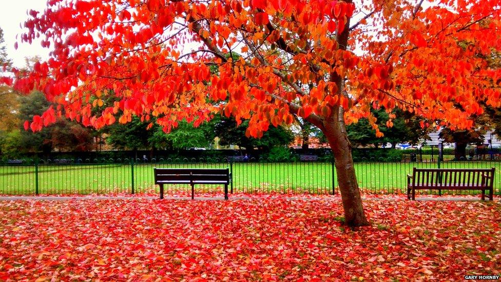 England's Big Picture: 19-25 October 2015 - BBC News