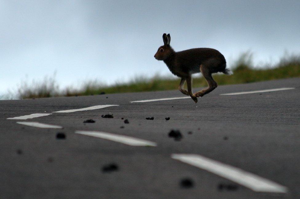 Your pictures: On the road - BBC News