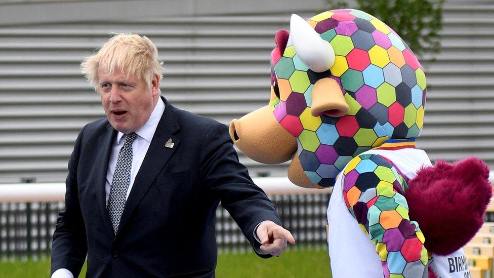 Birmingham 2022: Mascot designer excited to see Perry in action - BBC News