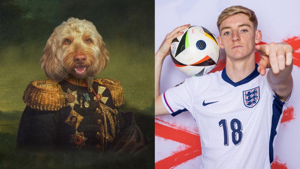 Doting doggy portraits keep England players company - BBC Newsround