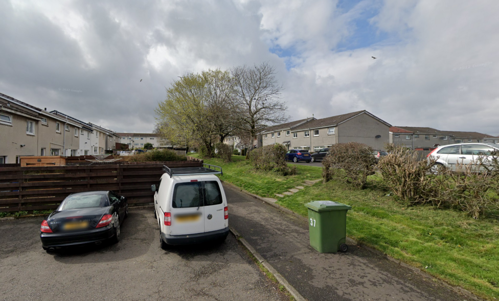 Teenager reported after 'XL bully' attack in East Kilbride - BBC News