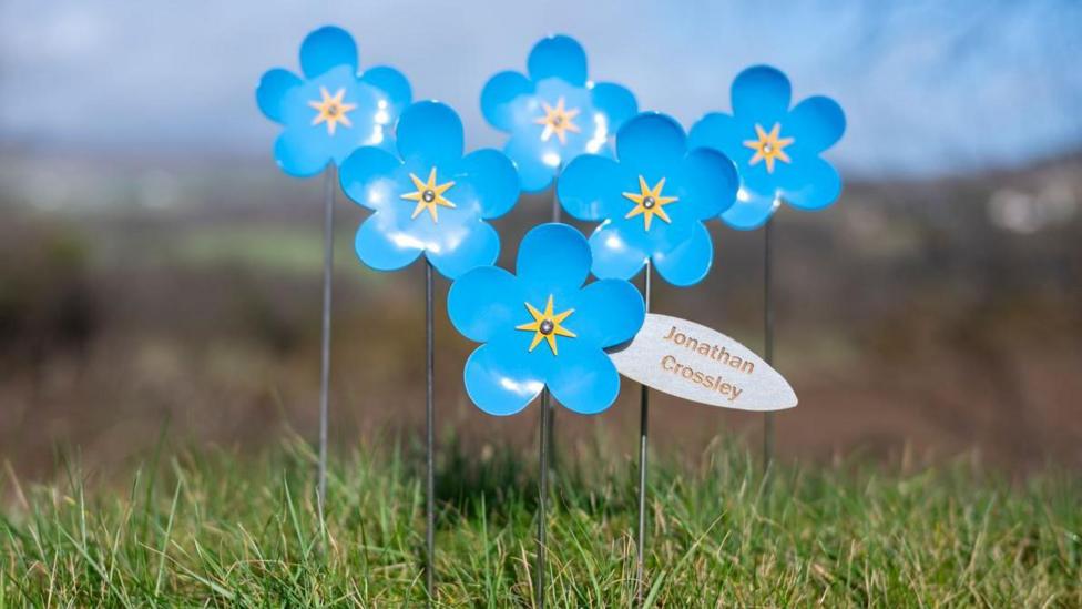 Hospice Isle of Man forget-me-not art scheme a 'lasting tribute' - BBC News