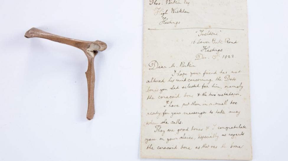Billingshurst: Dodo bone and letter fetch £23,000 at auction - BBC News