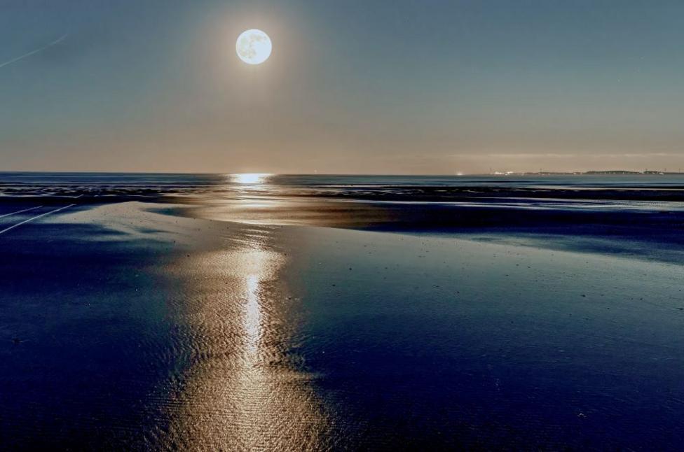 Your pictures on the theme of 'moonlight' - BBC News