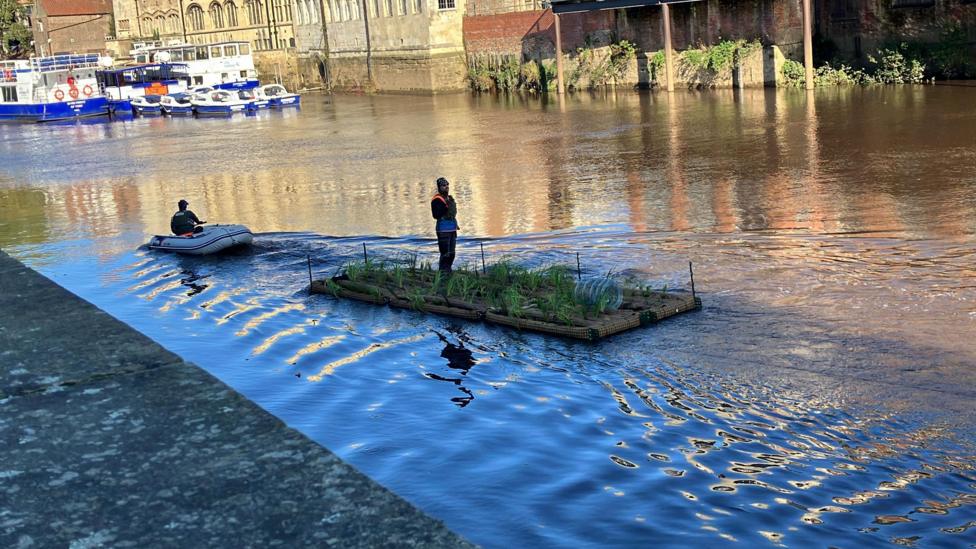 York’s first floating wildlife habitat launched - BBC News
