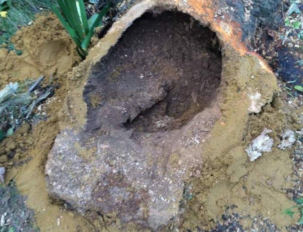 'Hand grenade' found inside tree in Ely garden - BBC News