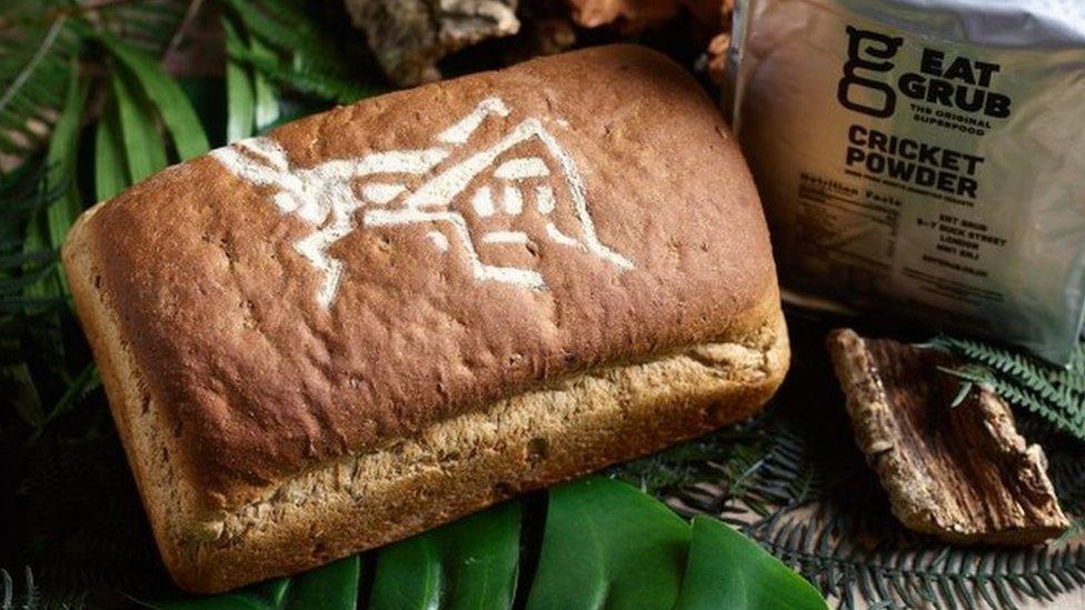 VOTE: What do you call a piece of bread? - BBC Newsround