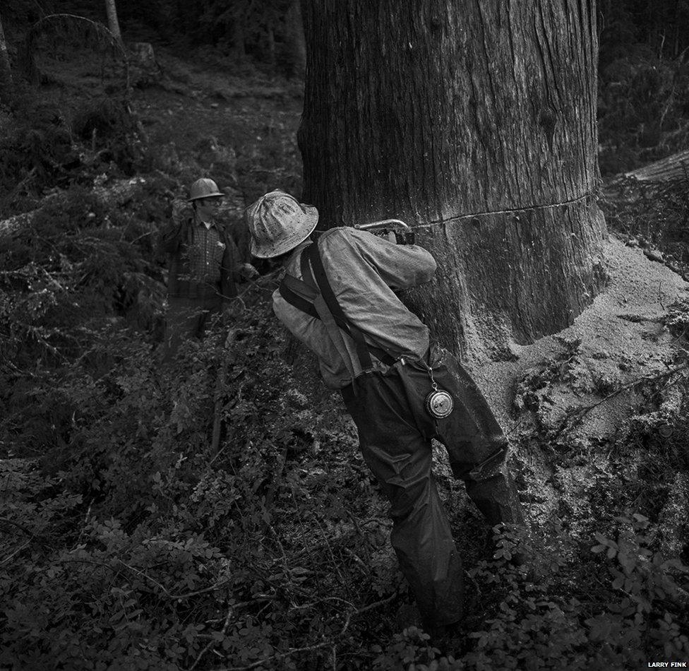 Loggers captured at work in Larry Fink's Opening the Sky - BBC News