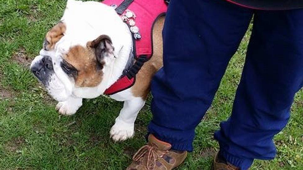 Maltby Main FC claims world record in dog charity event - BBC News