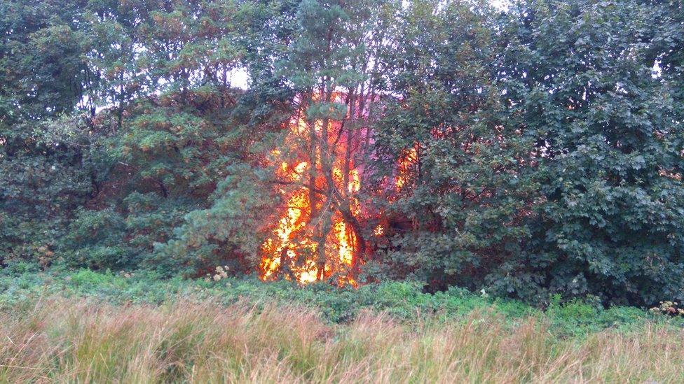 Woodchip fire in Coity, Bridgend, finally extinguished - BBC News