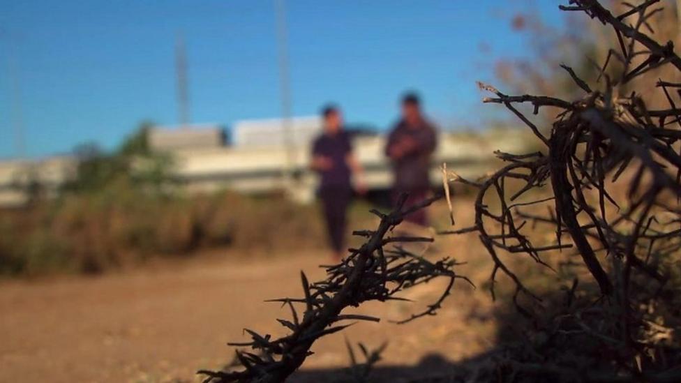 Thai hostages: Five held in Gaza released by Hamas - BBC News