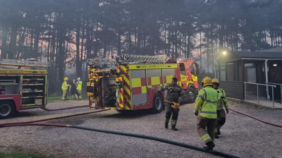 Bransgore woodland fire treated as suspicious by police - BBC News