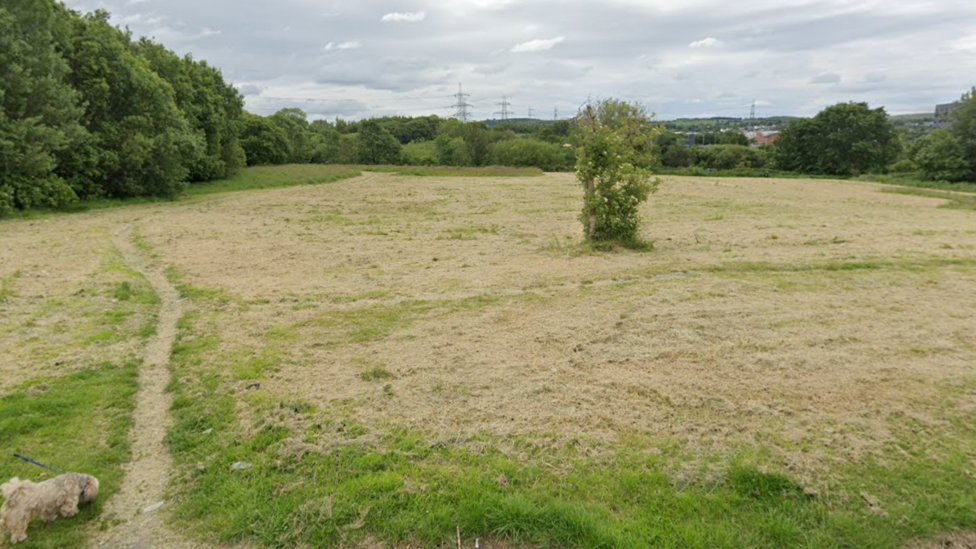 'Carmyle's green space could be destroyed by new homes' - BBC News