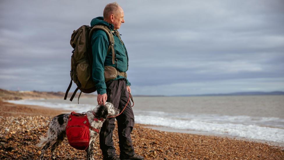Hero Dogs: Meet the finalists of The Kennel Club awards - BBC Newsround