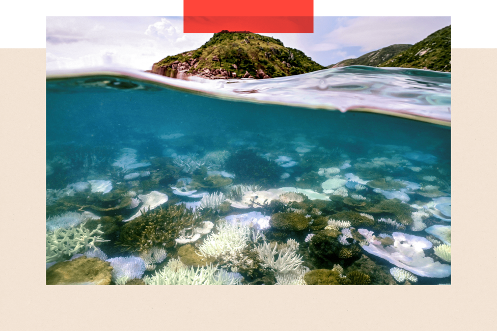 Could geo-engineering help save the planet? - BBC News