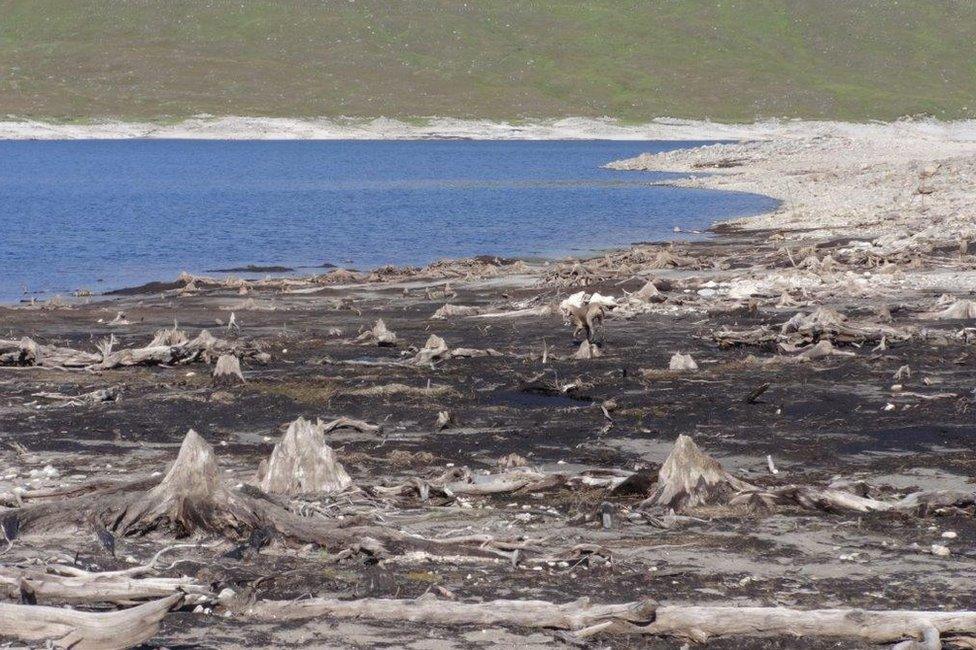 Drowned landscape revealed after levels drop at loch - BBC News