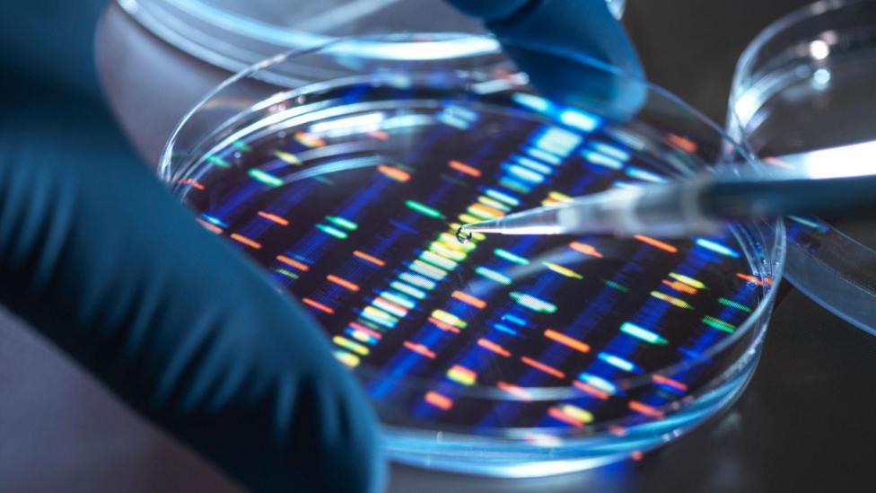 US man given Irish citizenship says a DNA test 'changed his life' - BBC ...