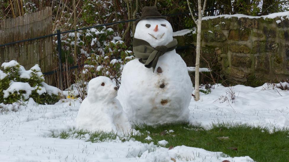 Your pictures as snow blankets Scotland - BBC News
