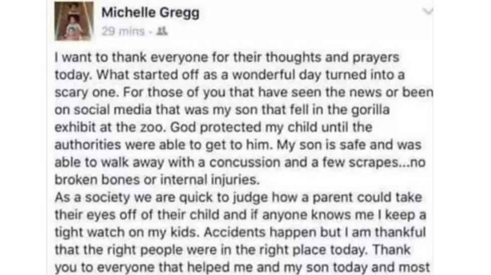 Justice for Harambe: Mother harassed online after gorilla shot dead ...