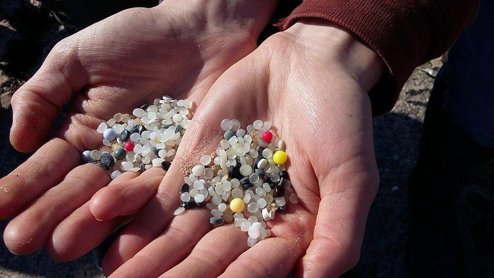 Who are the nurdle hunters on Britain's beaches? - BBC News