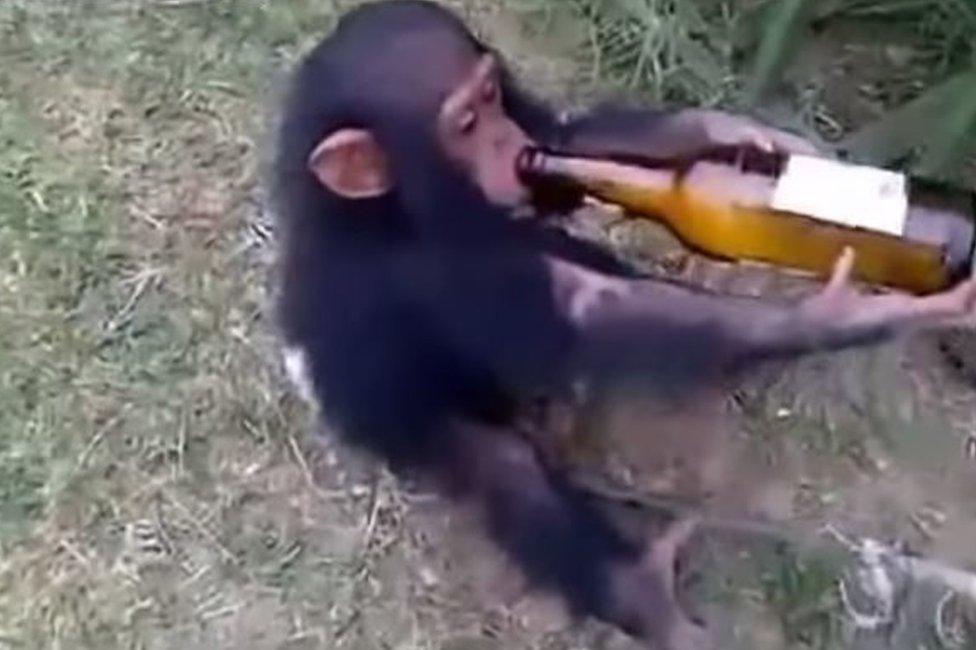 Dizzee Rascal apologises over monkey video by posting 'blacked up' boy ...