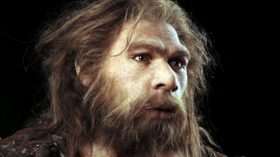 Neanderthals and humans interbred '100,000 years ago' - BBC News